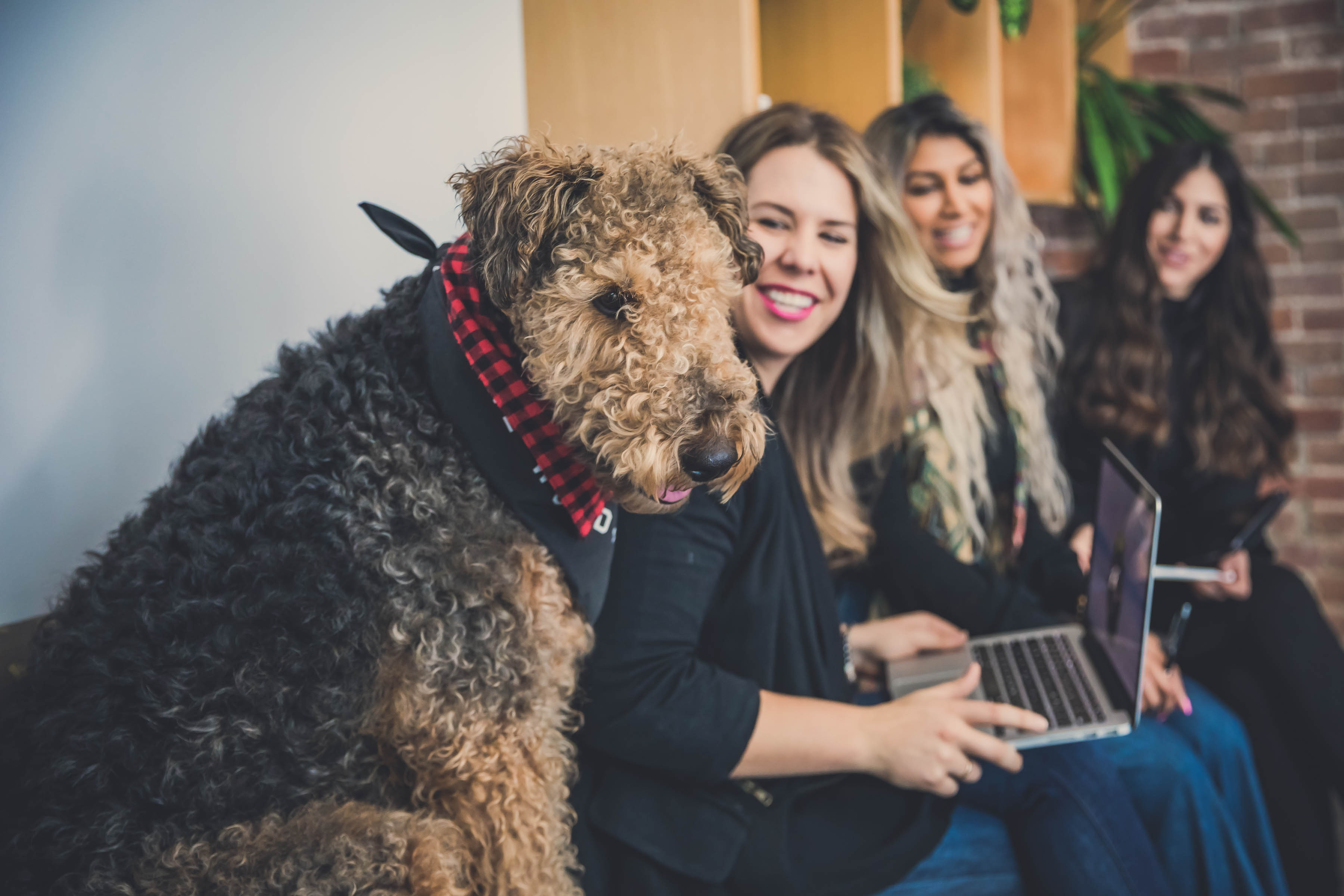 ImageX Is Certified A Great Place To Work!